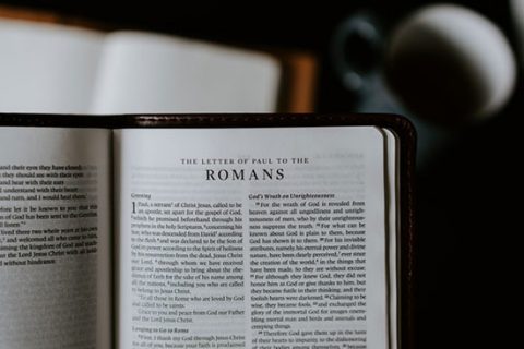 What is the New Testament? [About Each Book and Key Lessons ...